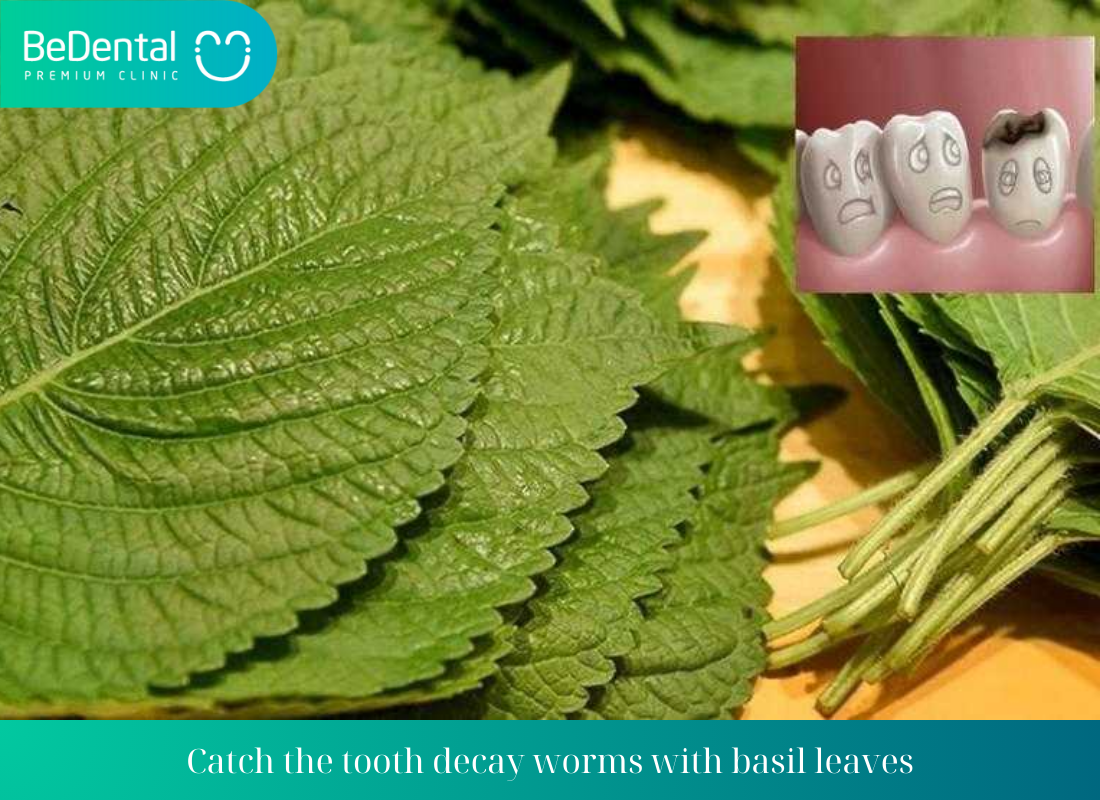 WHAT IS TOOTH DECAY? PICTURES OF TOOTH DECAY – Nha Khoa BeDental